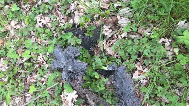 Images: Ash, soot found after GE fire
