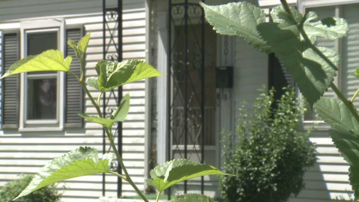 Active meth lab found in home directly next to Providence High School