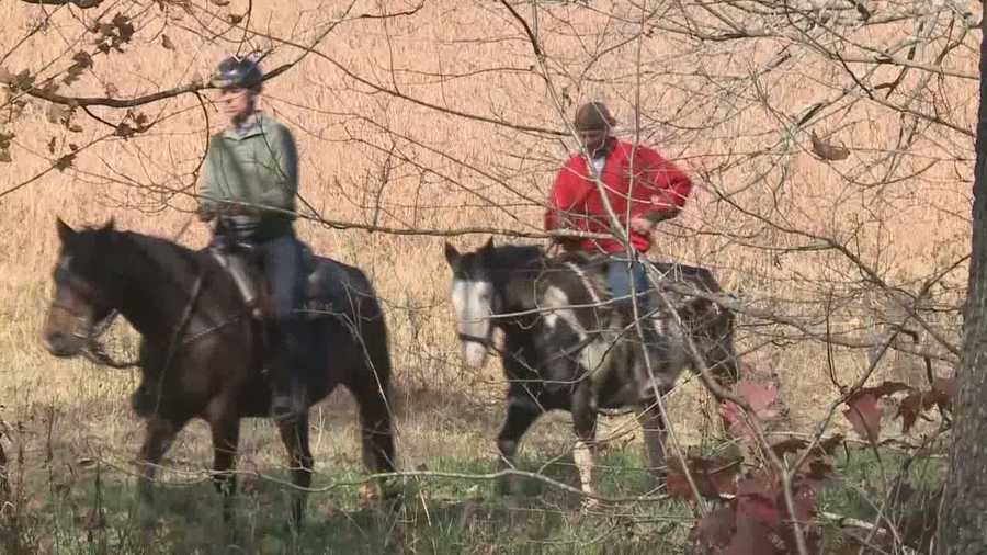 A.M. Adventures: Horseback riding