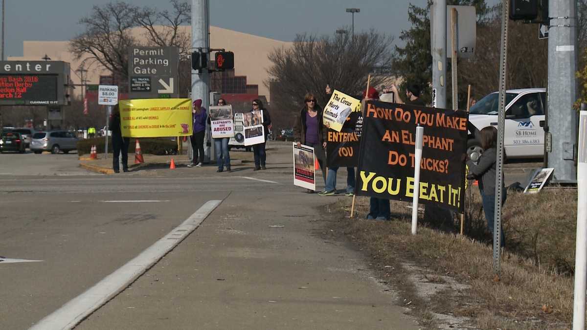 Activist peacefully protest against circus animal cruelty