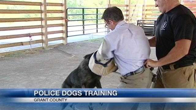 Photos: Police, rescue dogs train, practice in NKY