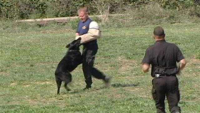 Photos: Police, rescue dogs train, practice in NKY