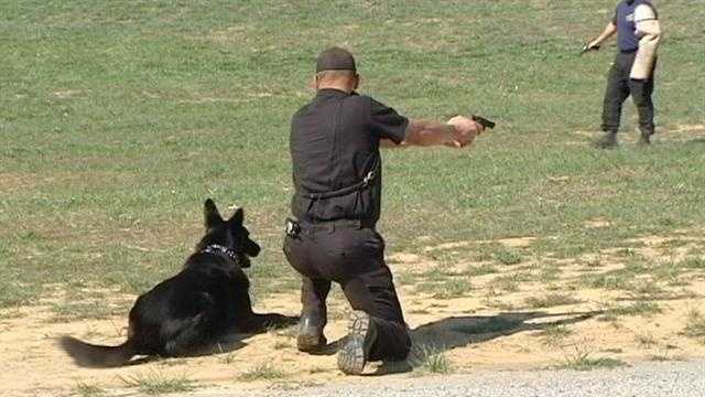 Photos: Police, rescue dogs train, practice in NKY