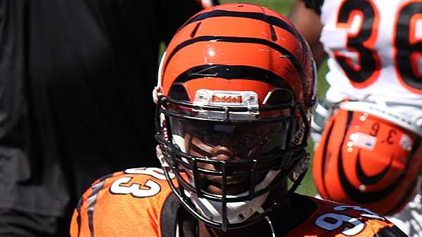 Cincinnati Bengals sign former player Michael Johnson