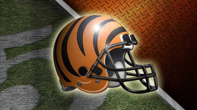 Bengals' RB tandem has game in gear