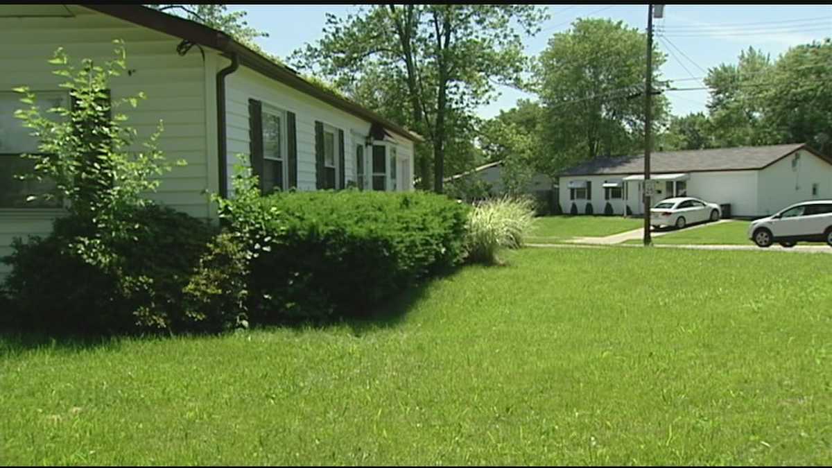 Neighbors demand action on house overrun with cats