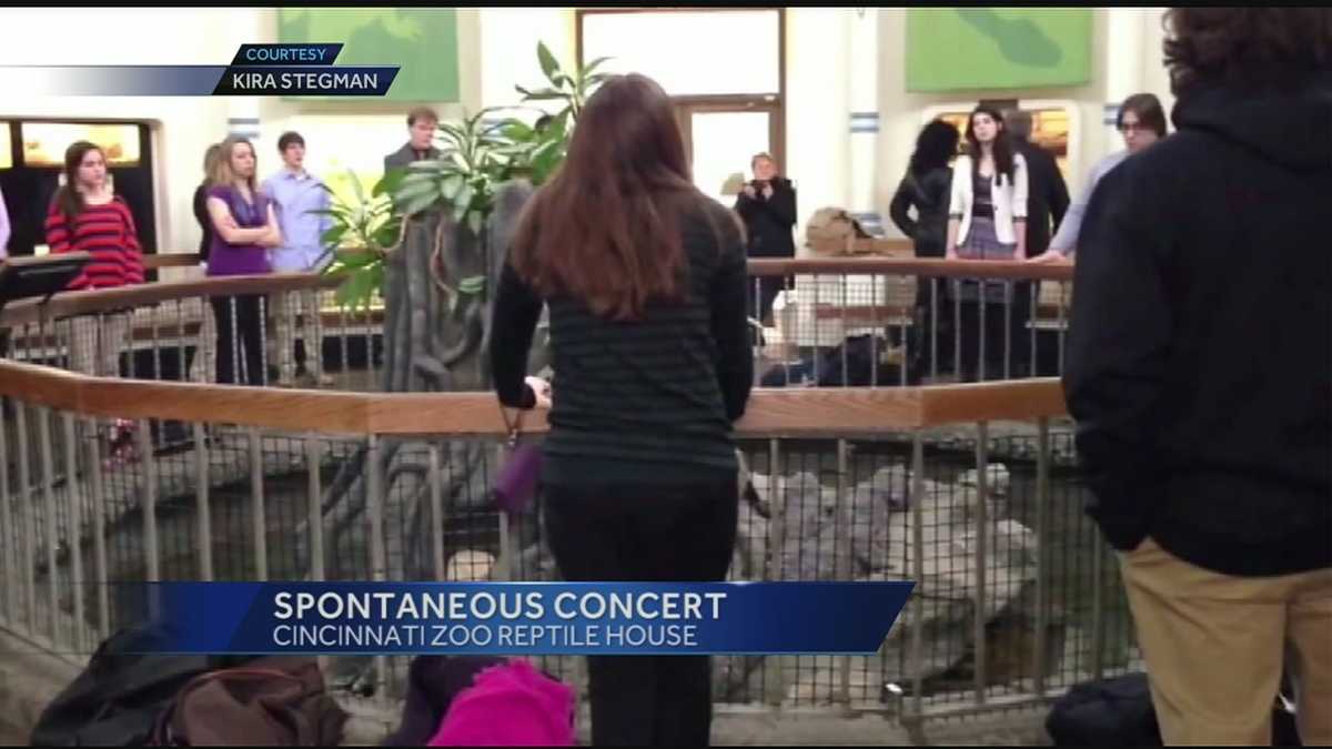 Harding Univ. choir holds impromptu concert in zoo's reptile house