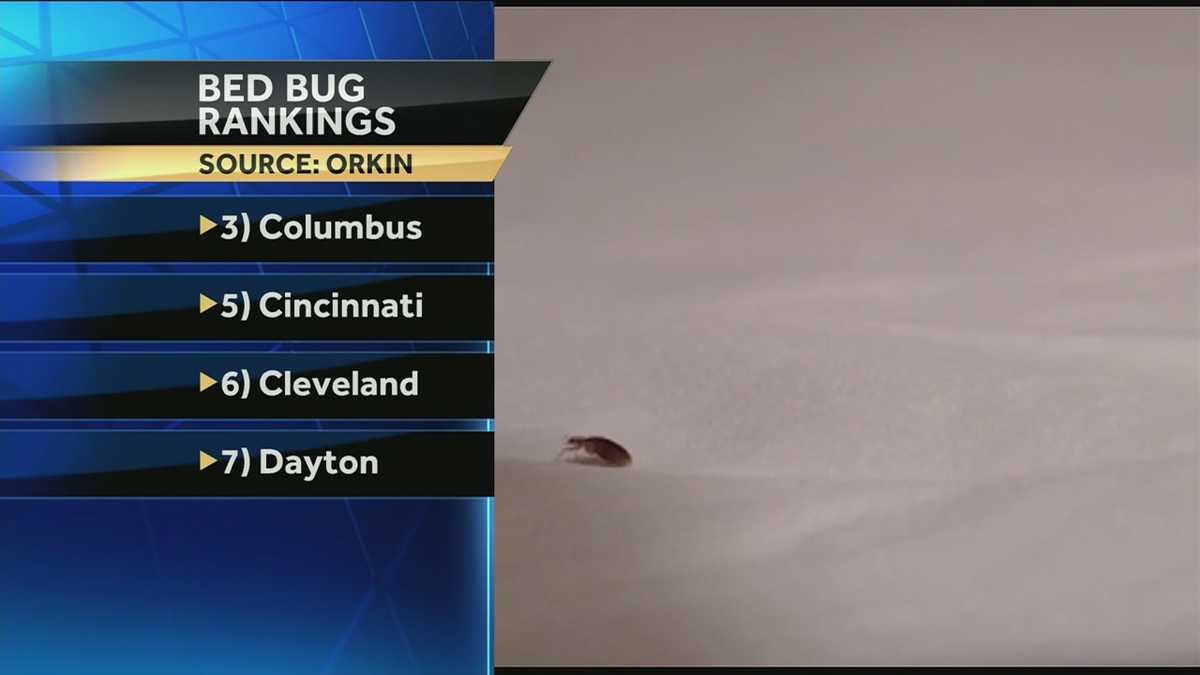 Bed bug task force holds emergency meeting Thursday