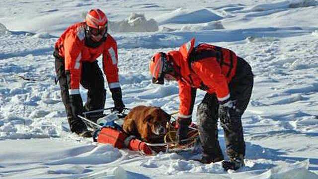 Coast Guard rescues dog on ice on Lake St. Clair