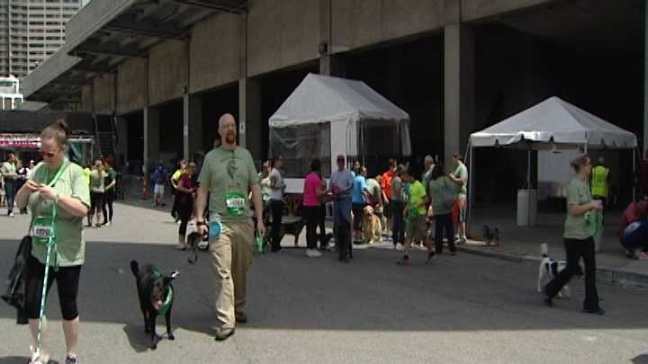 Photos: IAMS Flying Fur Run