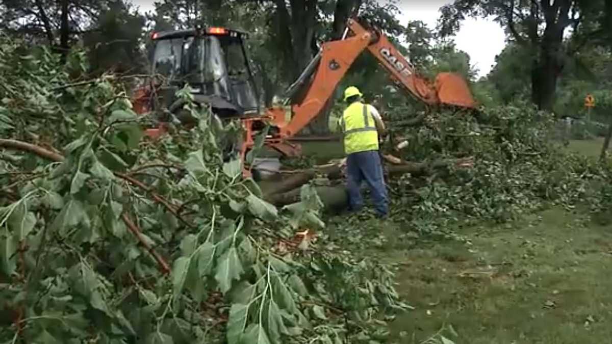 Microburst takes down trees, power in Waynesville