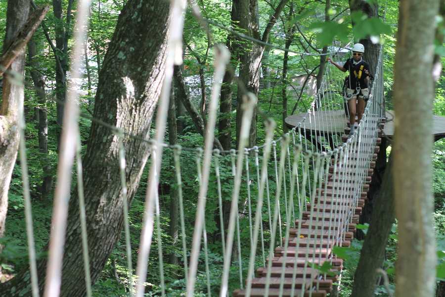YMCA Camp Kern celebrates zipline's 5 years