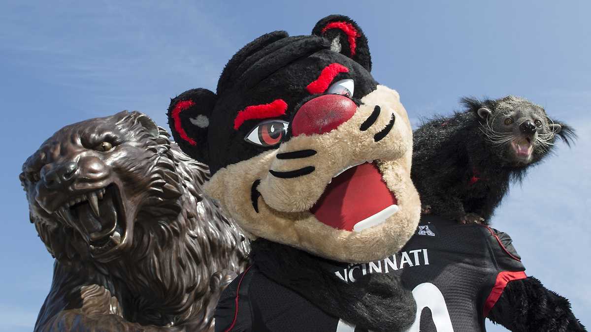 UC celebrates mascot's 100th anniversary