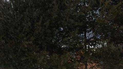 Photos: More Presidents Day snow images