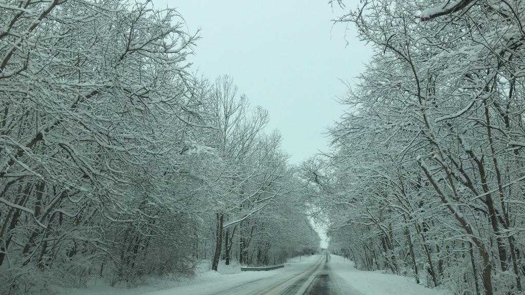 Photos: March 4-5 snow