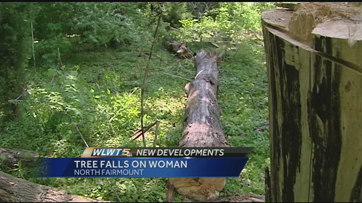 Woman working to take down tree seriously injured when tree falls on her