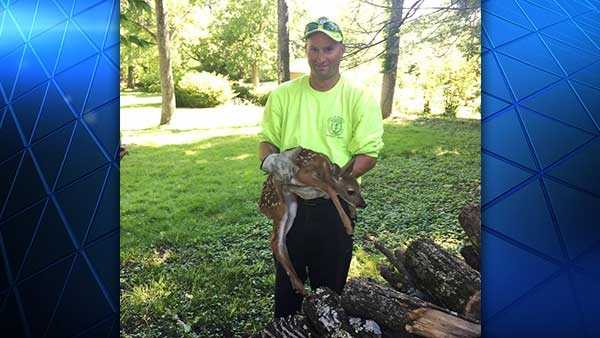 PHOTOS: Madeira Service Department workers rescue trapped fawn