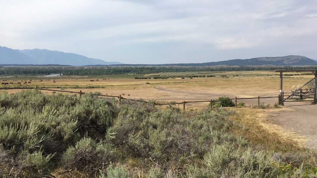 Fauna Jackson missing from Wyoming service trip
