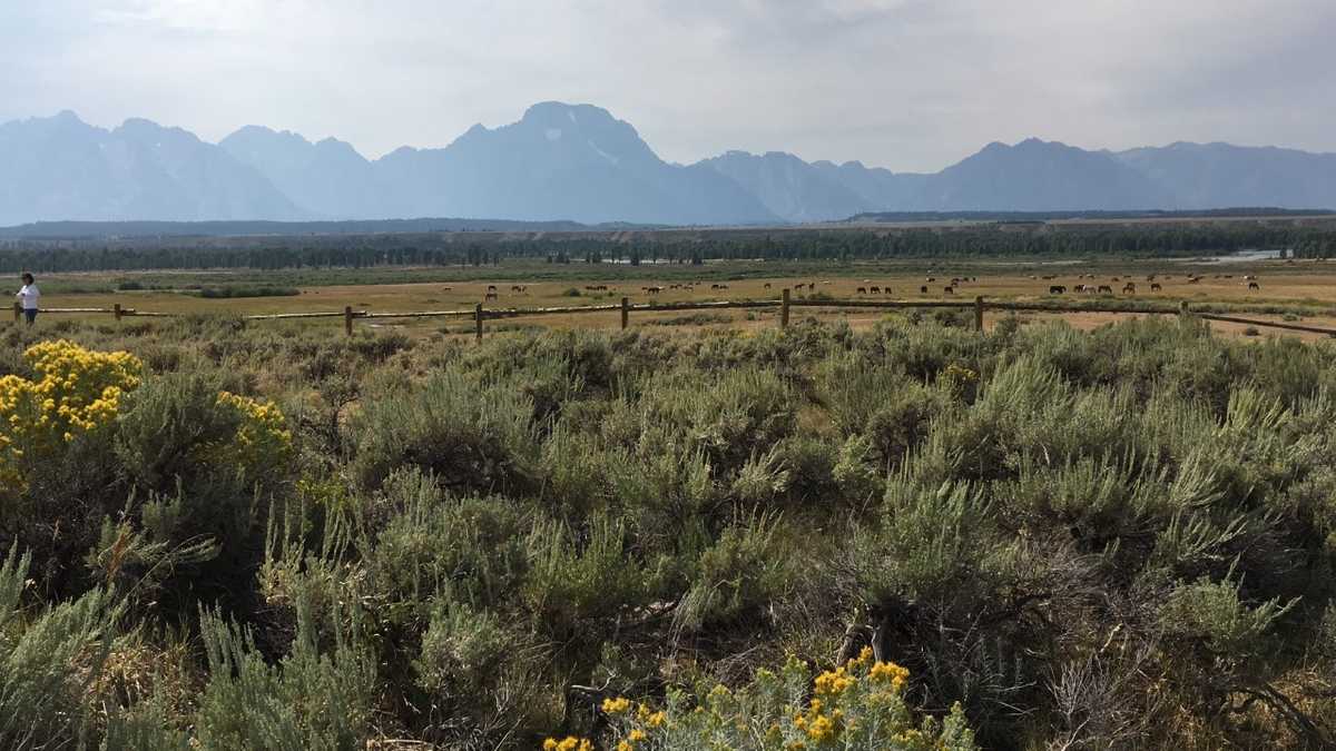 Fauna Jackson missing from Wyoming service trip