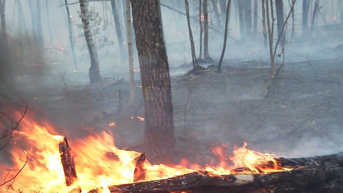 Forest rangers: Kennebunk wildfire may have been intentionally set