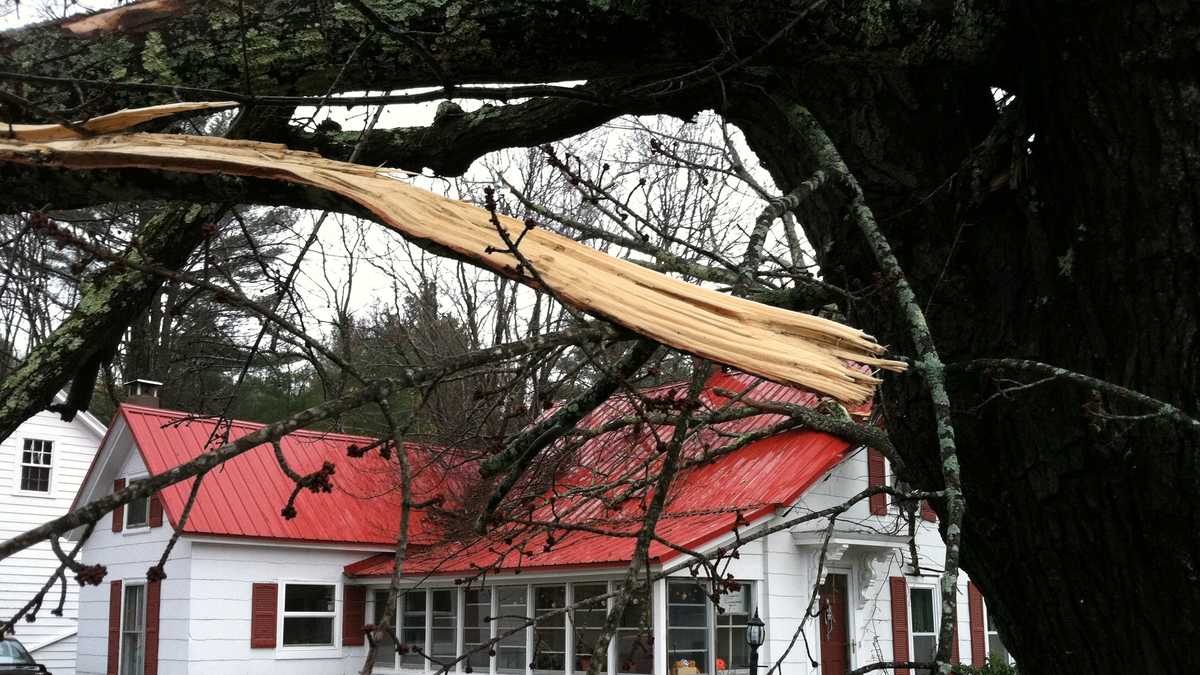 Photos: Clean up begins after storm