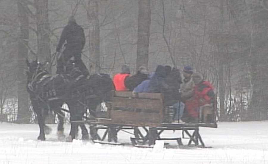 Photos: The Great Sleigh Ride