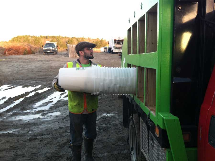 Photos: Garbage to garden