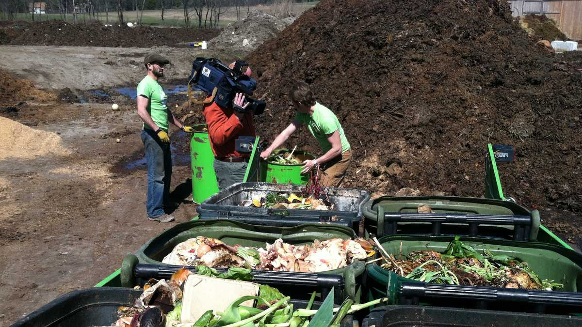 Photos: Garbage to garden