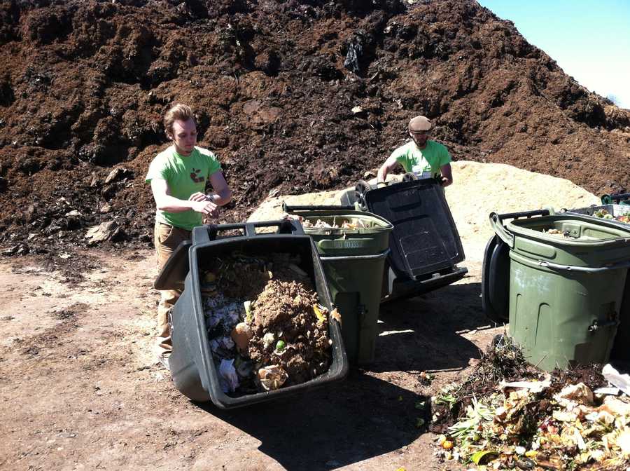 Photos: Garbage to garden