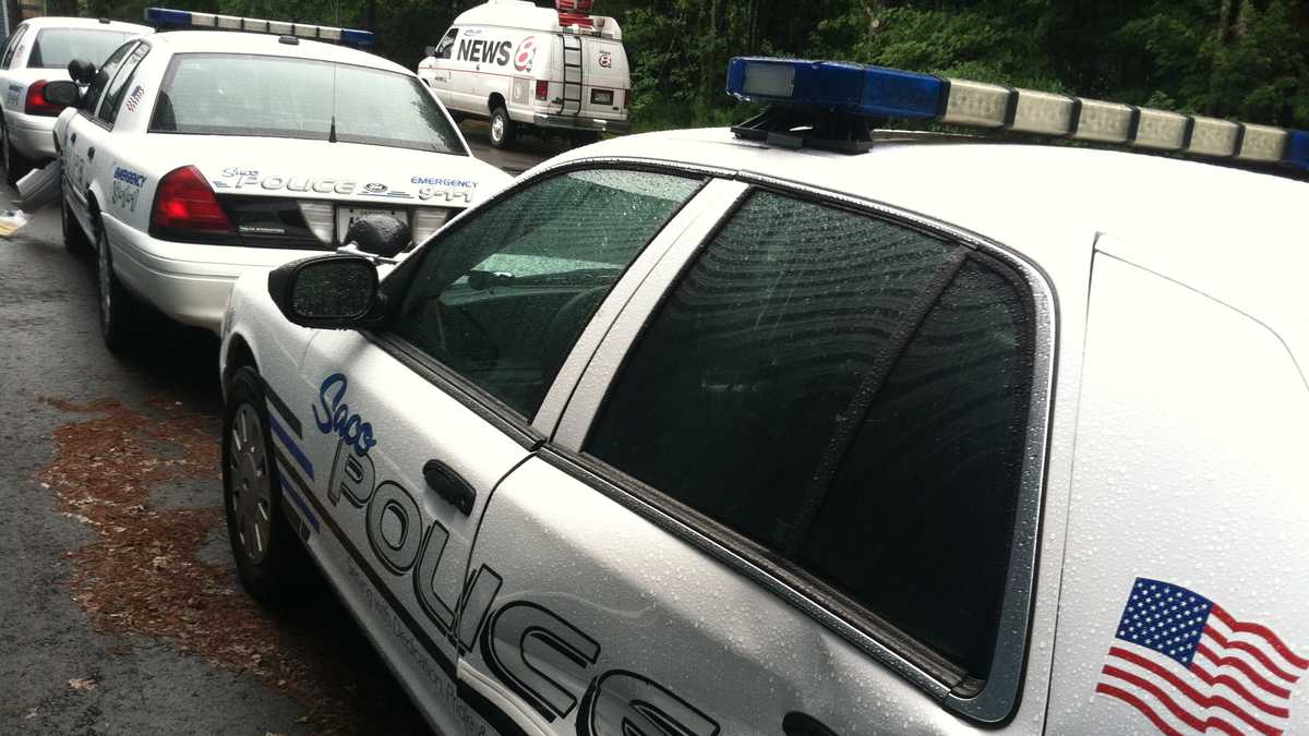 Photos Woman Rams Police Cruisers Subdued With Stun Gun