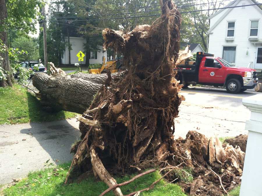Photos: Camden takes brunt of storm damage