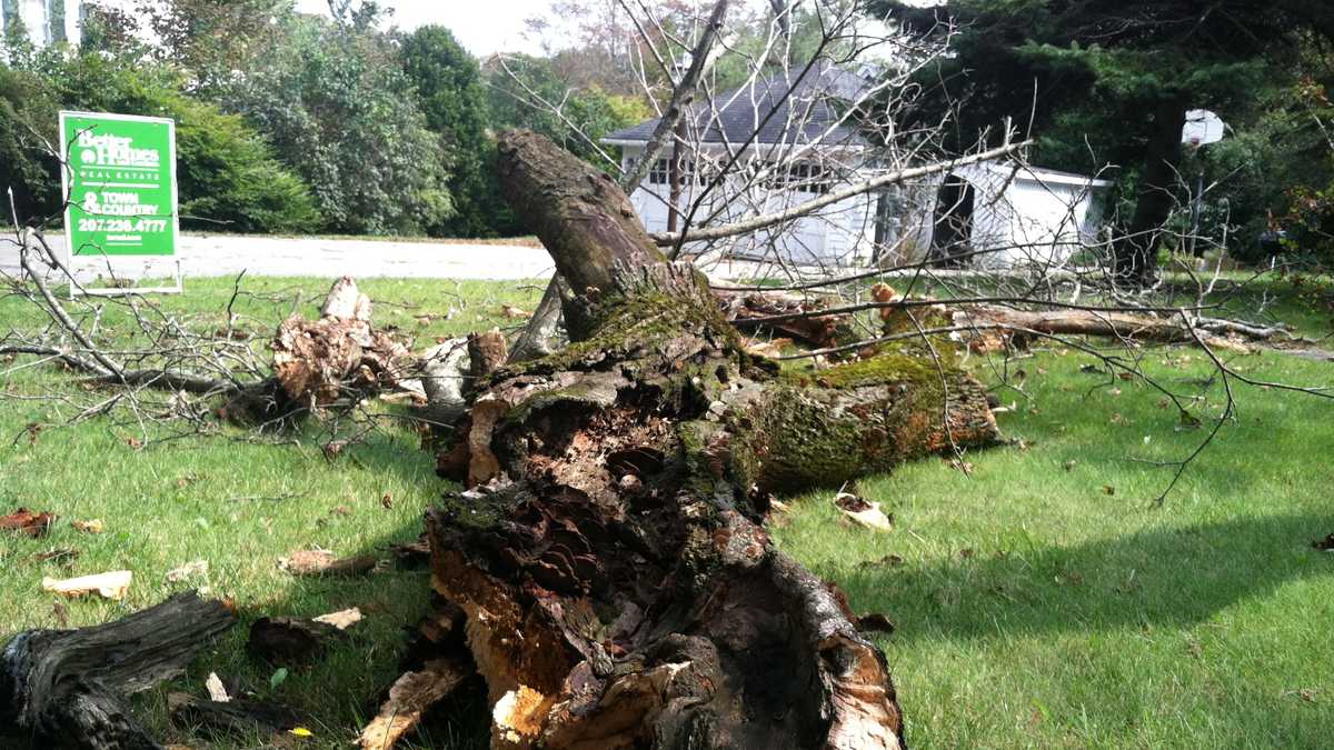 Photos: Camden takes brunt of storm damage