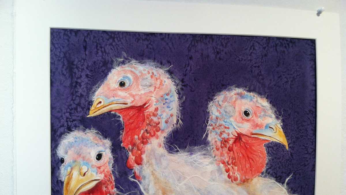 Photos: Artist creates 46 million turkeys project