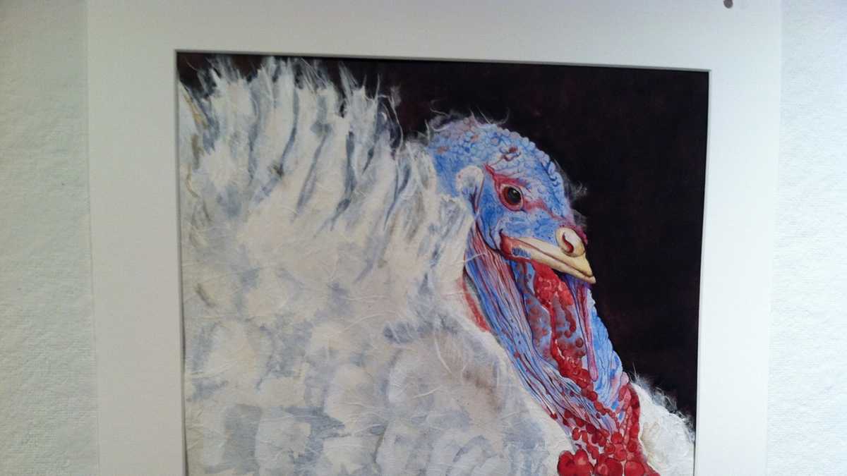 Photos: Artist creates 46 million turkeys project