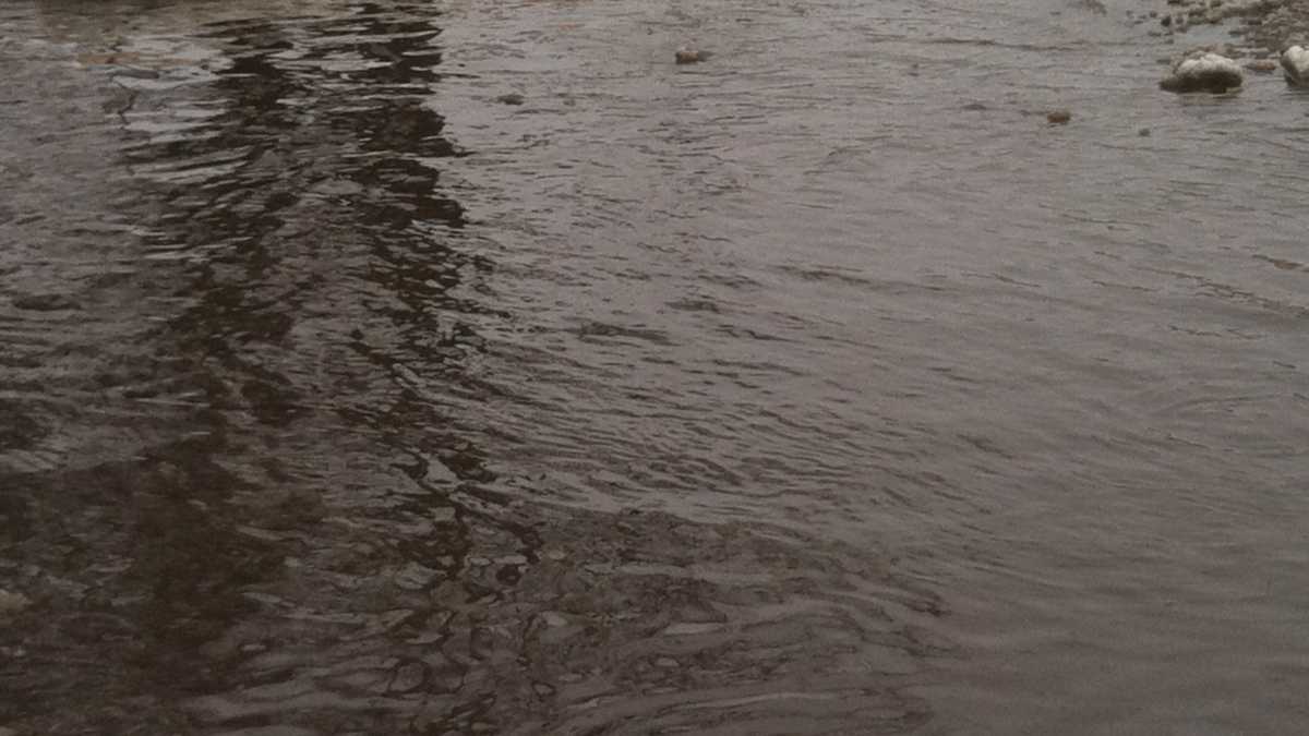 Photos: Storm brings heavy rain, street flooding