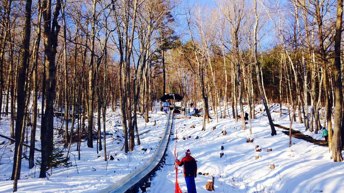 Slideshow: National Toboggan Championships