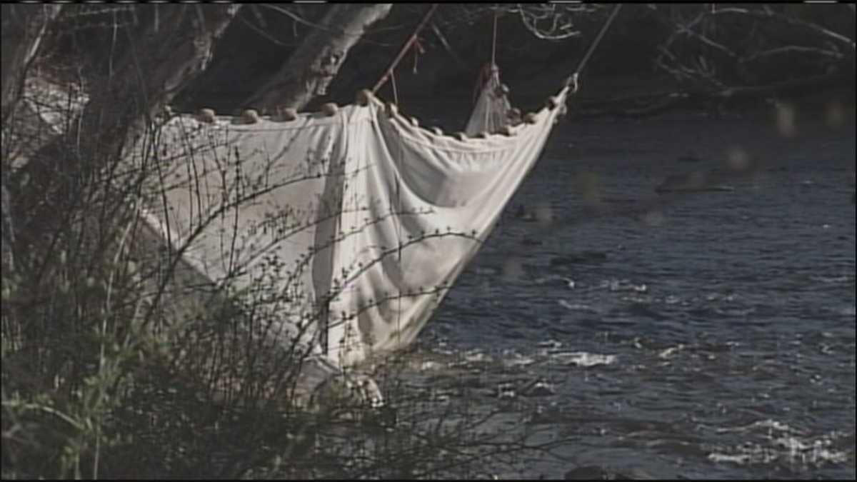 Elver fisherman who underreported harvest gets 90 days