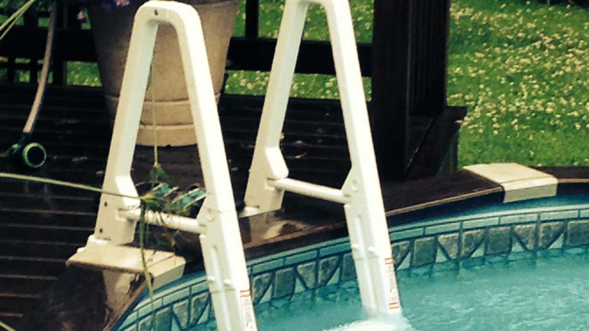 Photos: Skunk found swimming in pool