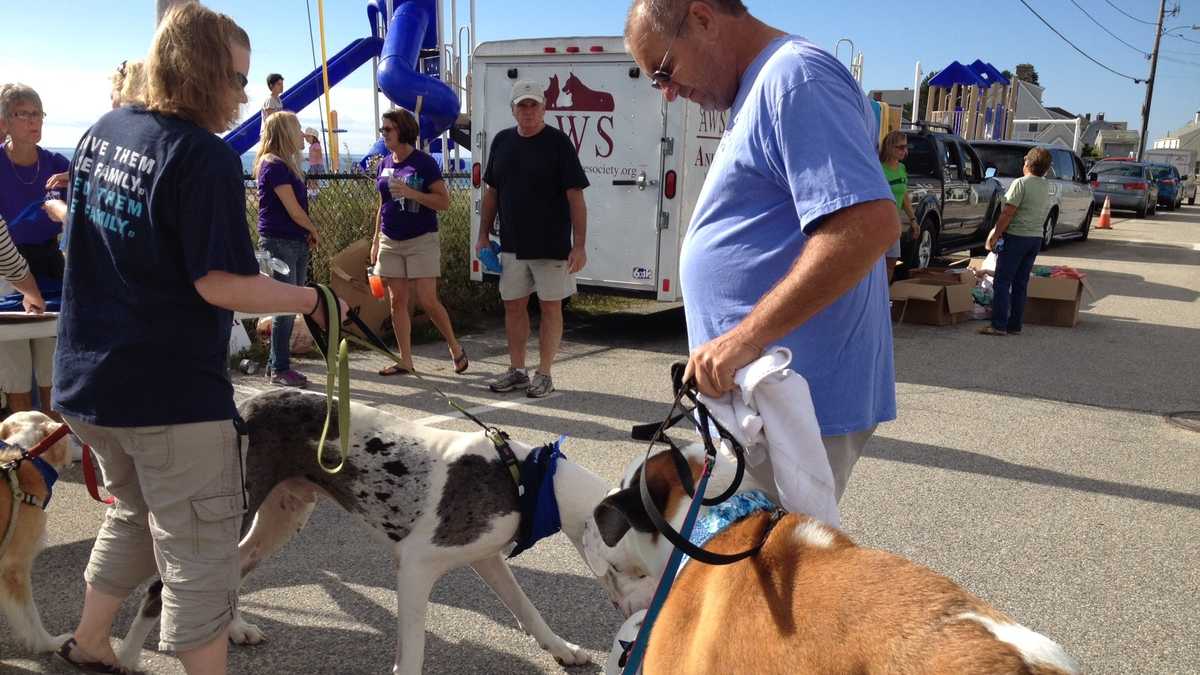 20th Annual Strut Your Mutt Walk