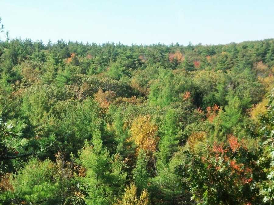 Maine's Favorite Fall Foliage Spots