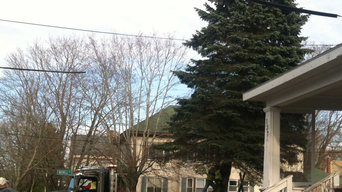 Photos: Portland Christmas tree