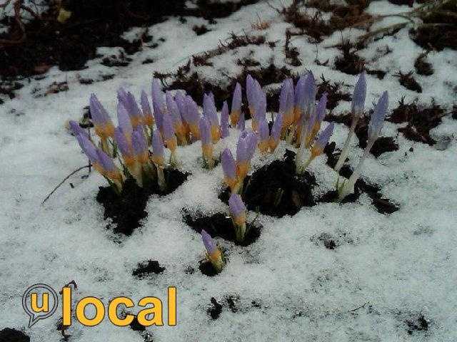 It's almost here! Your signs of spring in Maine