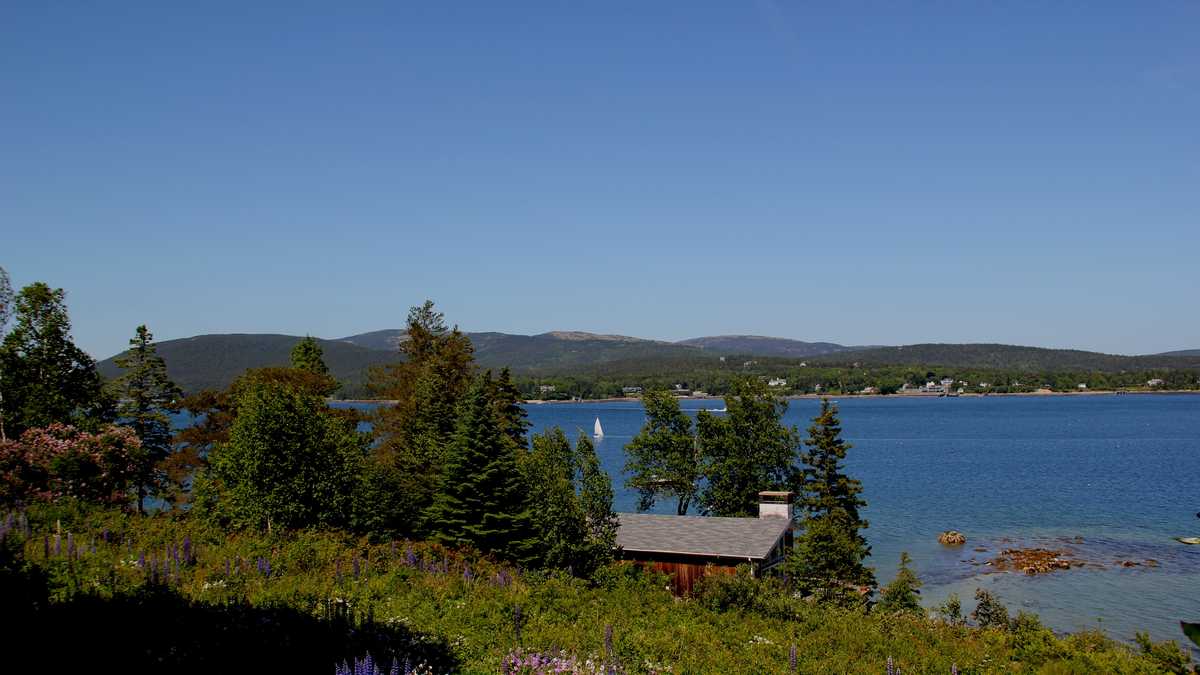 20 things you may not know about Sarah Long