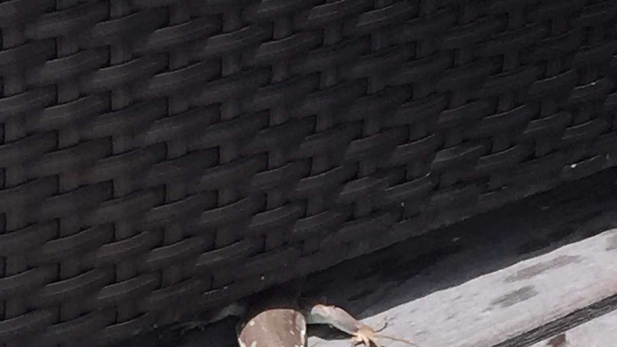 20 things you may not know about Erin Ovalle