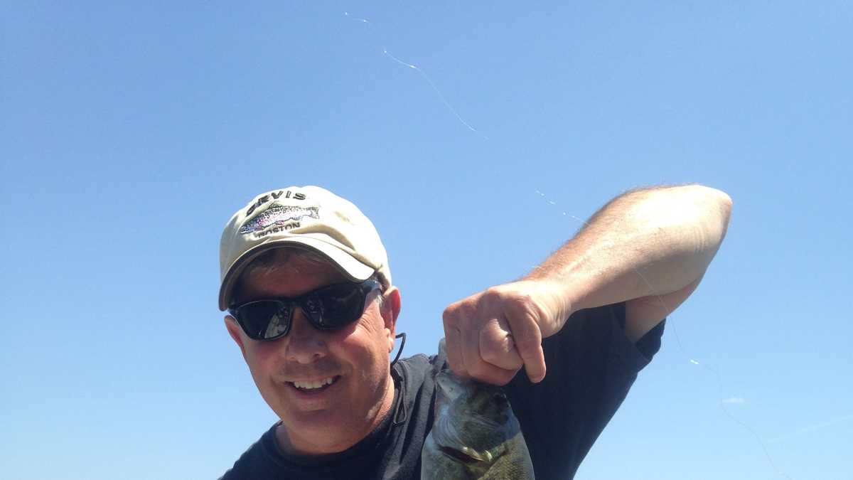 20 things you may not know about Steve Minich