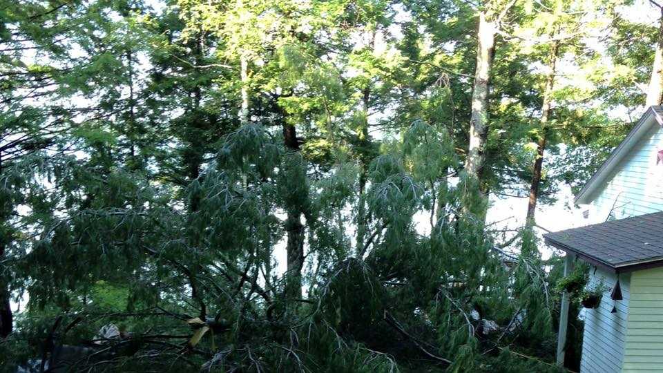 Photos: Severe storm sends tree into house in Wales