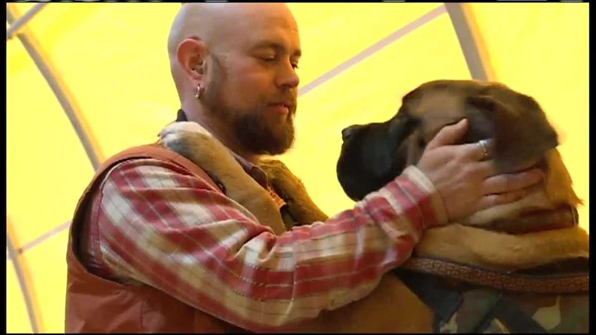 Specially trained service dogs helping Maine's veterans