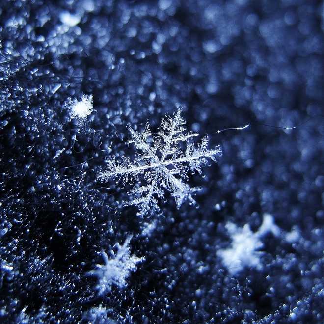 More than 100 years later, first snowflake photographer's work still ...