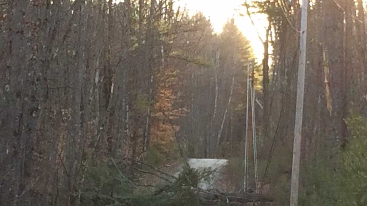Photos: Howling winds take down trees, power lines