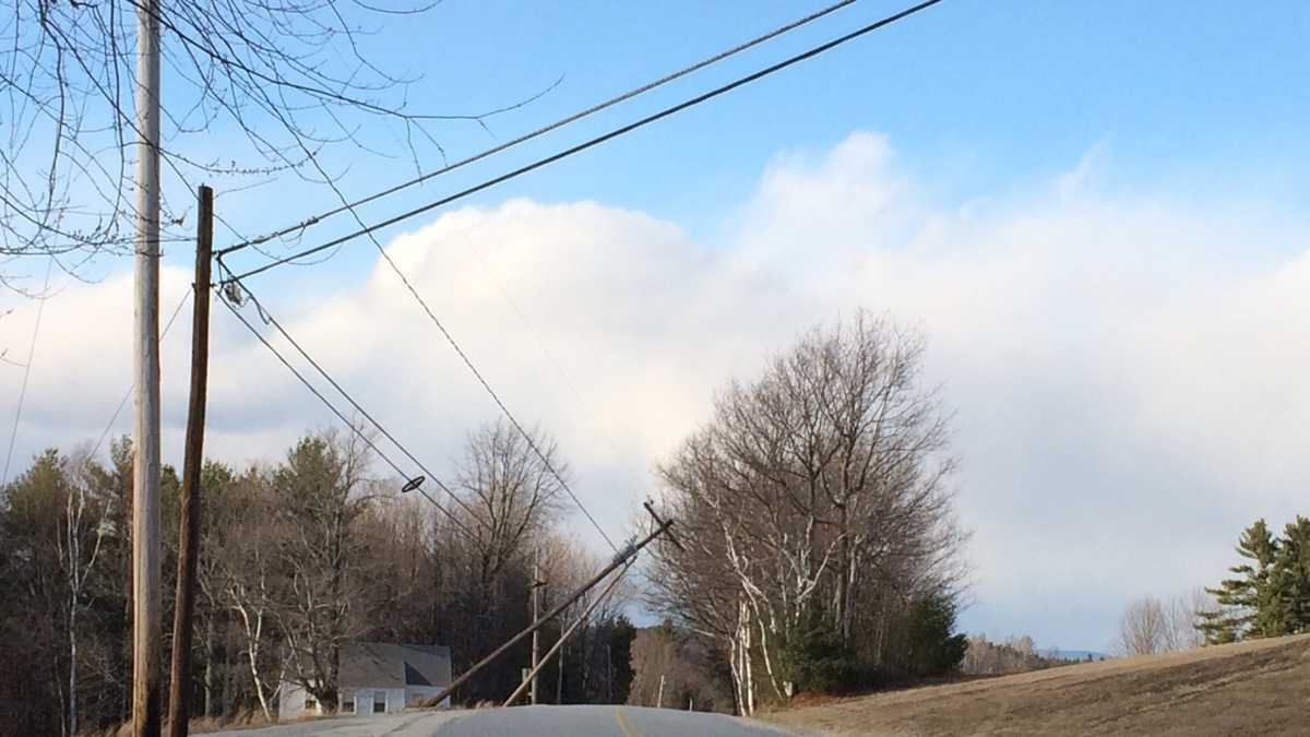 Photos: Howling winds take down trees, power lines